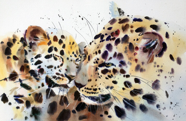 Jake Winkle - Snow Leopard and Other Big Cats in Watercolour***Only 1 ...